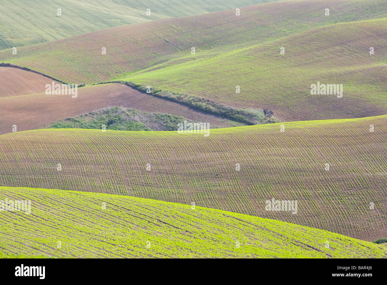 Rolling countryside in Cordoba province Andalucia Spain Stock Photo - Alamy