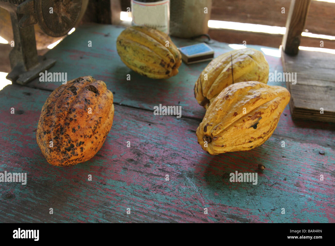 Fruit pods hi-res stock photography and images - Alamy
