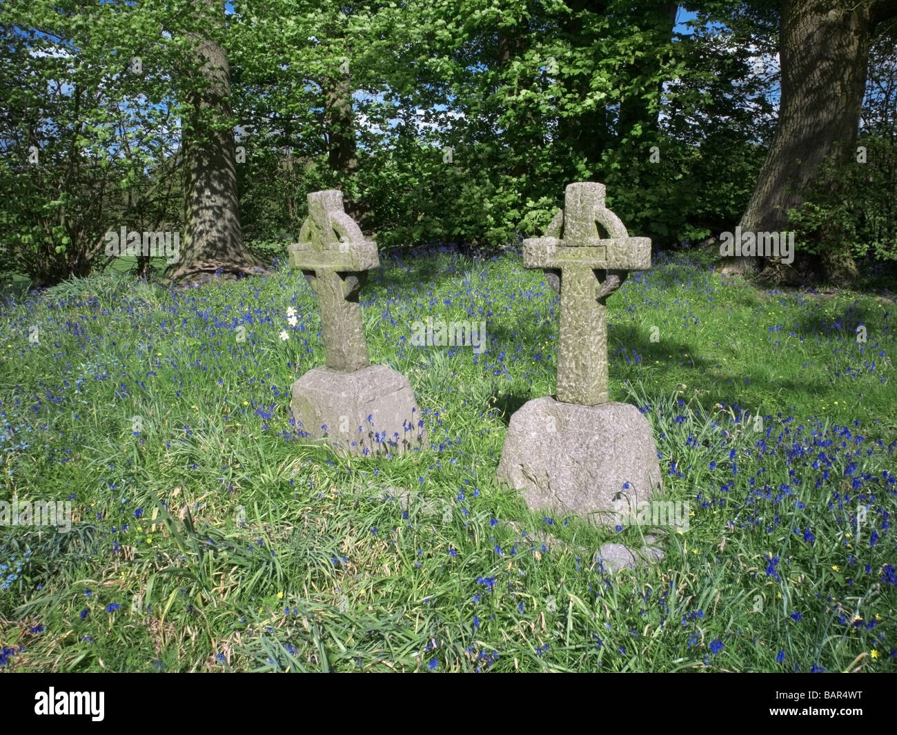 gravestones lit by the sun in a country cemetery Stock Photo - Alamy