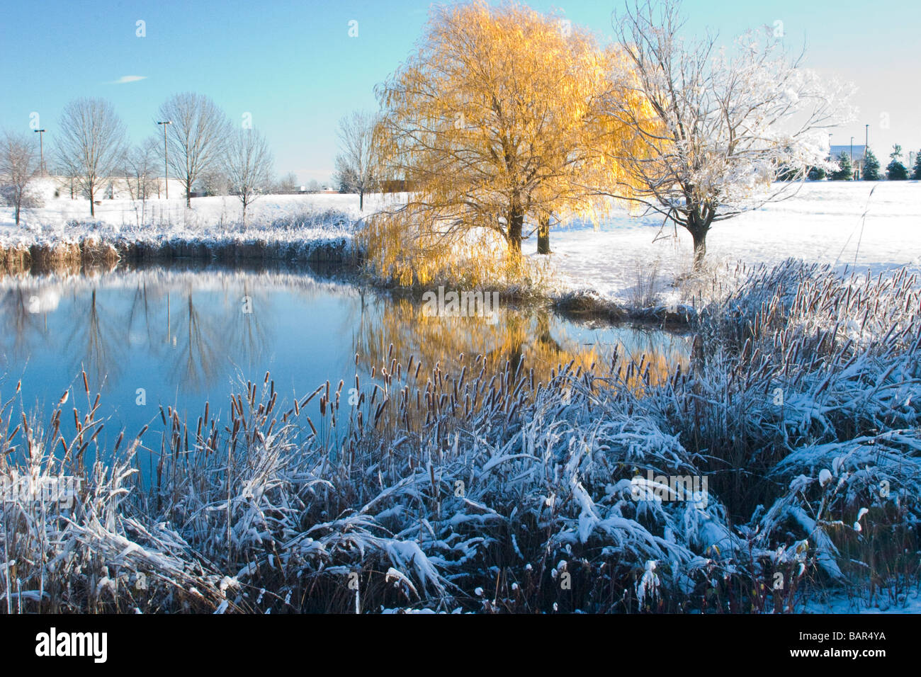 Winter scene in the upper midwest of the United States Stock Photo - Alamy