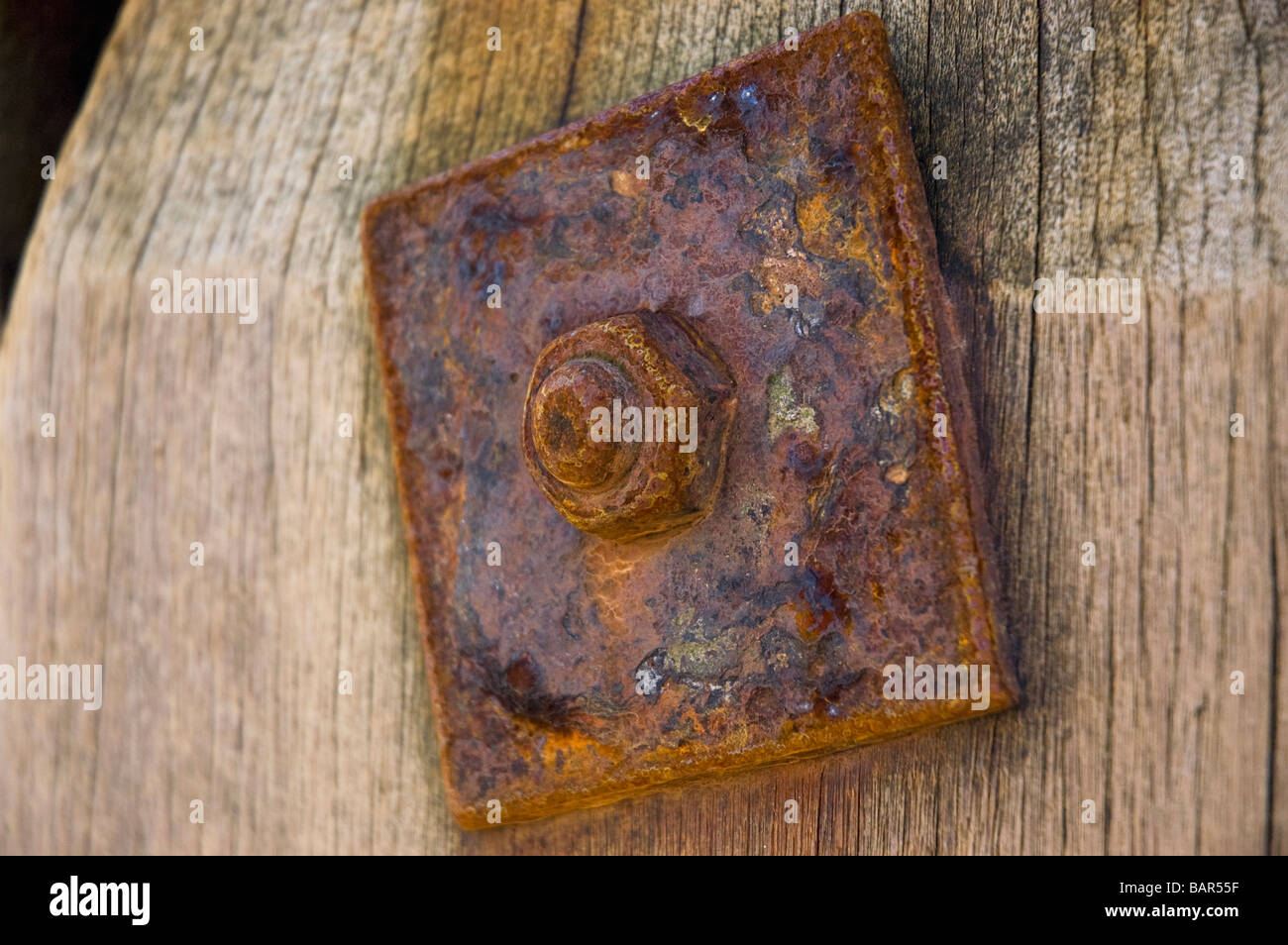 A rusty nut and bolt on a wooden post Stock Photo - Alamy