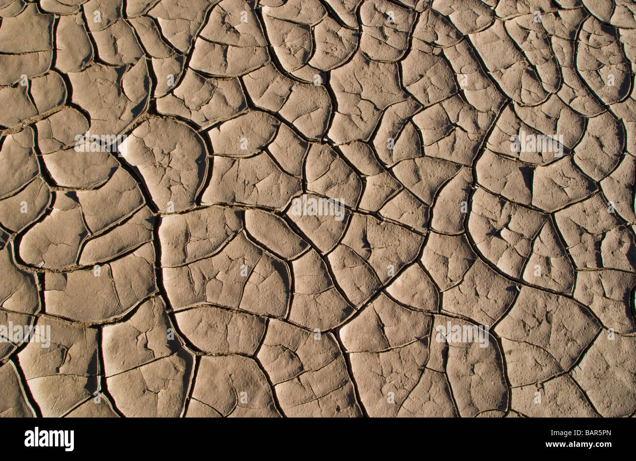 Rio grande mud hi-res stock photography and images - Alamy