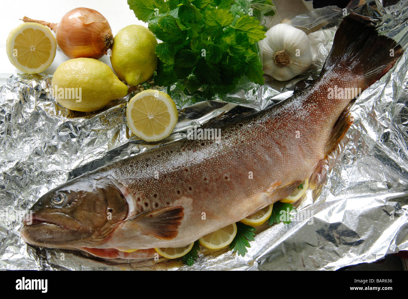 Samlet hi-res stock photography and images - Alamy