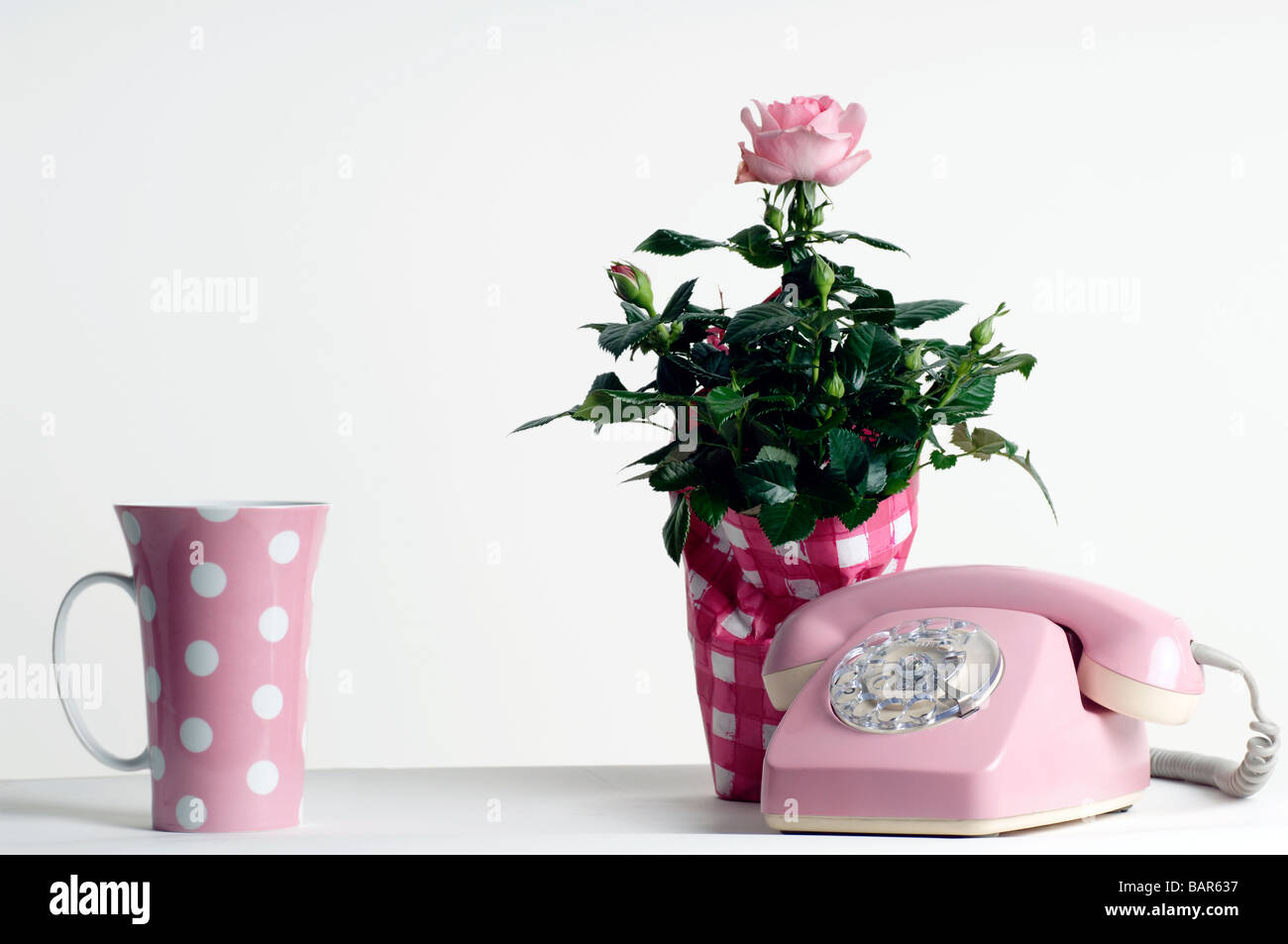 Rotary cup hi-res stock photography and images - Alamy