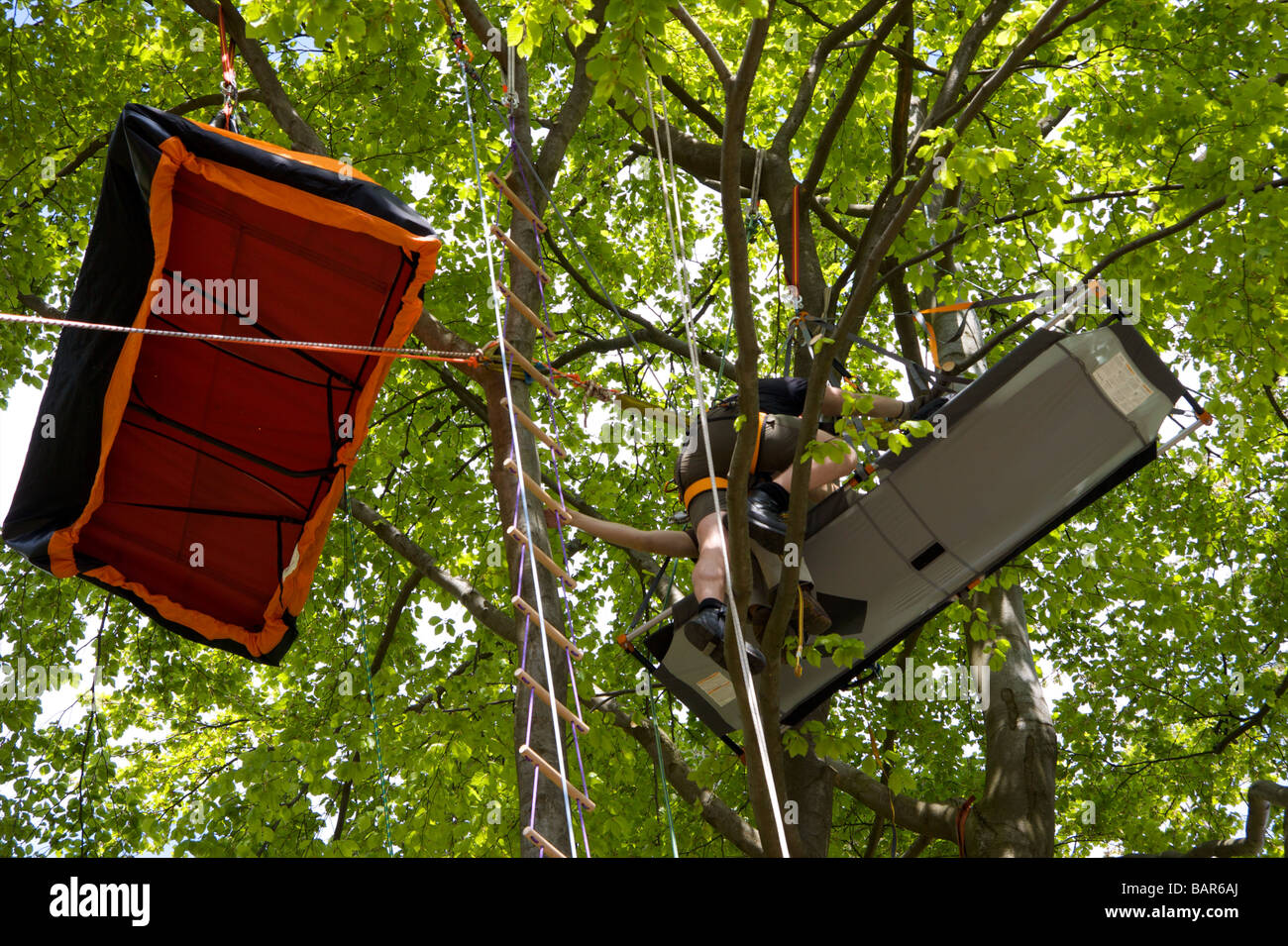 Sleeping in a tree Stock Photo - Alamy