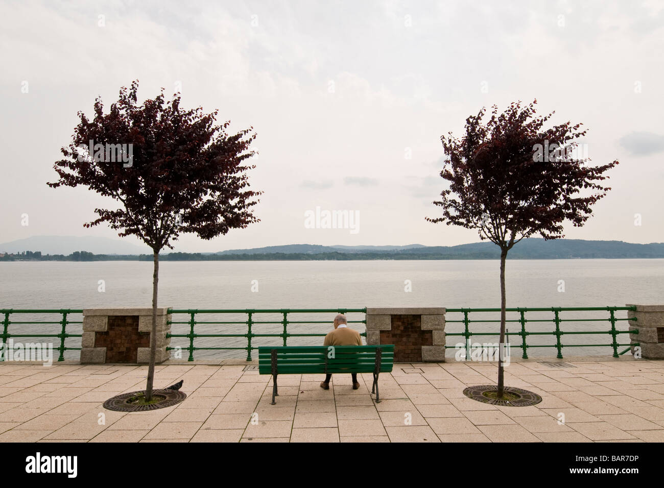 Lakefront Arona Province of Novara Italy Stock Photo - Alamy