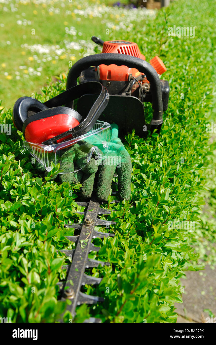 Hedge cutting machine hi-res stock photography and images - Alamy