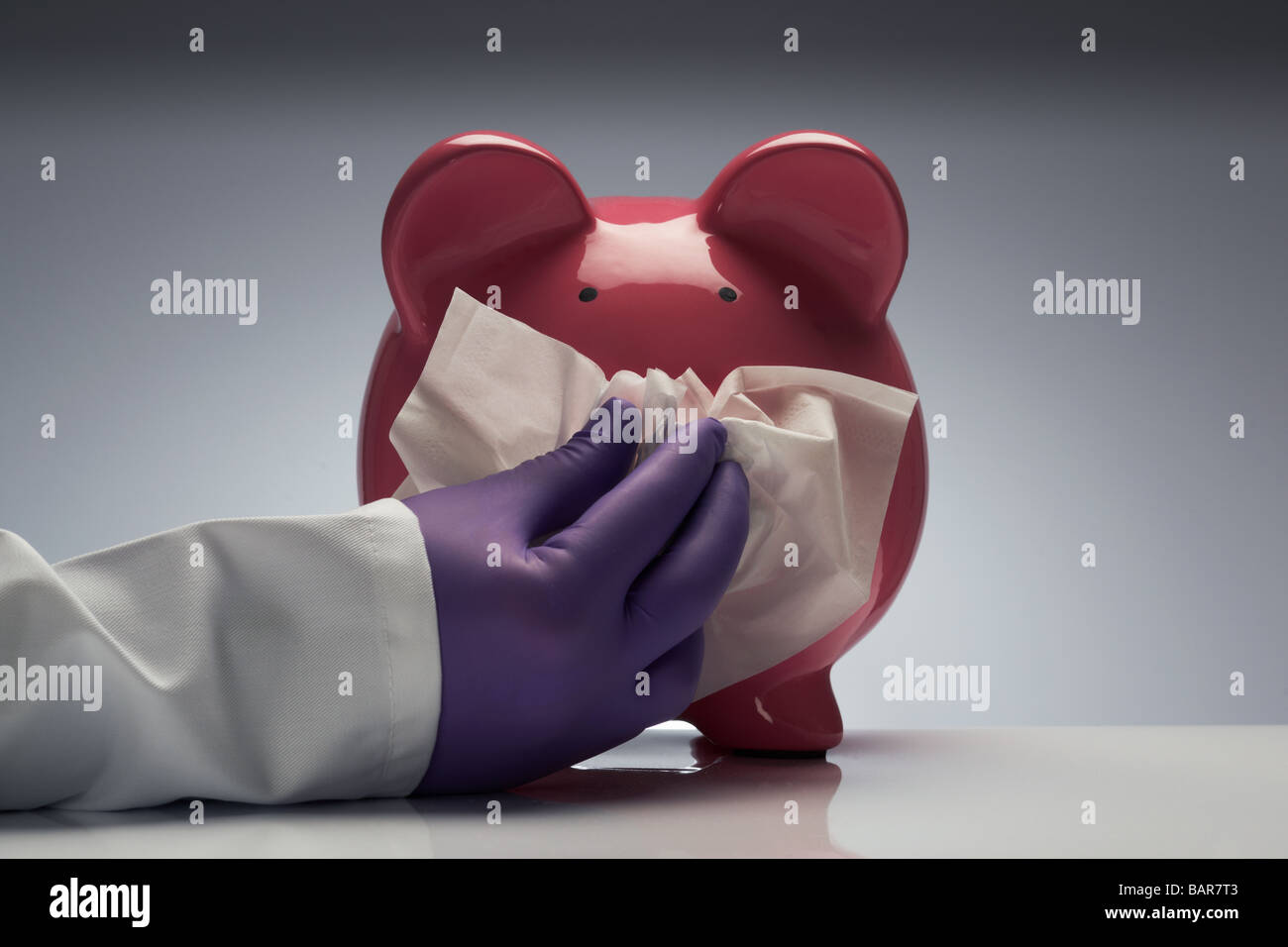 Swine flu pig H1N1 doctor holding tissue Stock Photo - Alamy