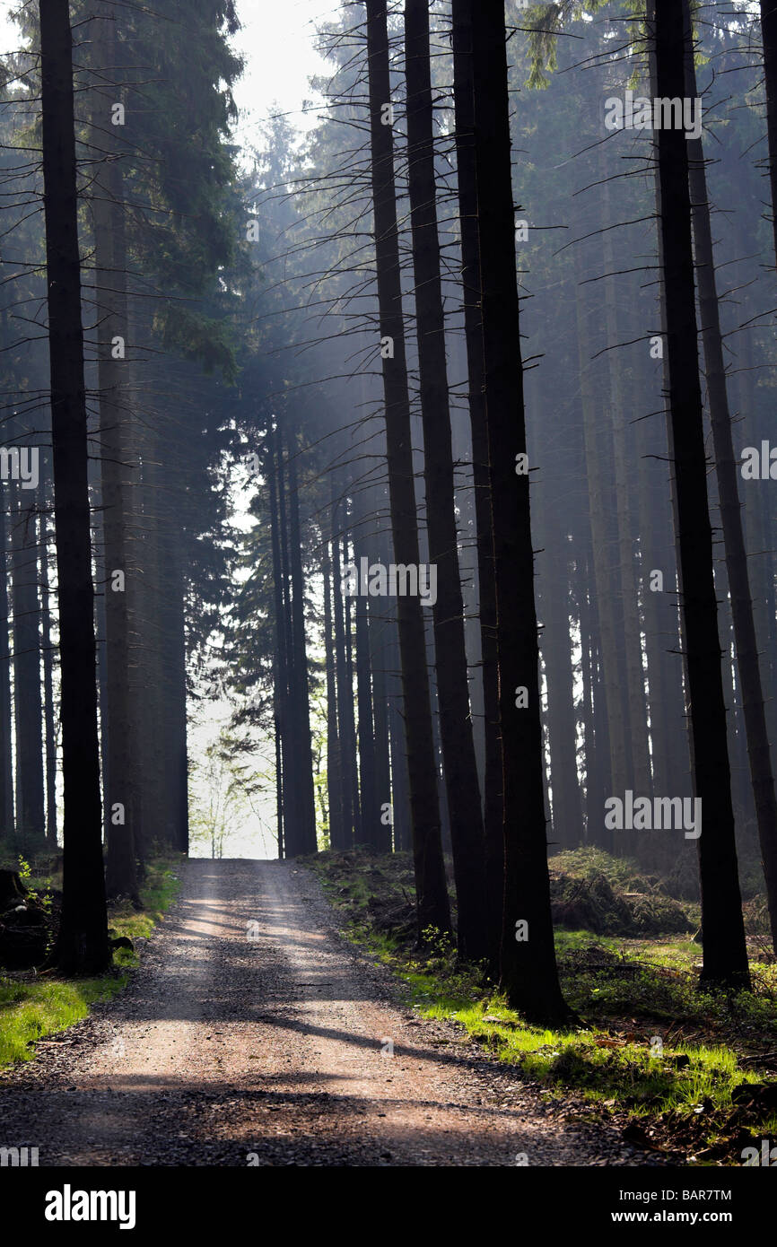 Track beam hi-res stock photography and images - Alamy