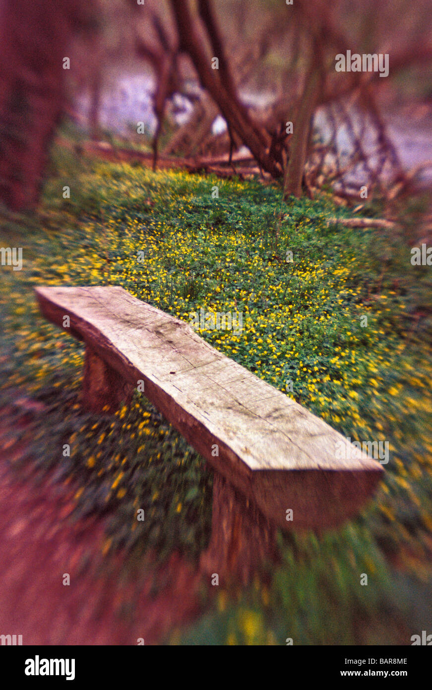 Wood log bench along stream Stock Photo - Alamy