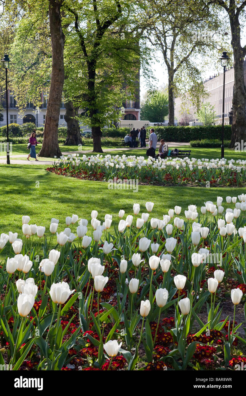 Russell Square, Bloomsbury, London, England, UK Stock Photo - Alamy