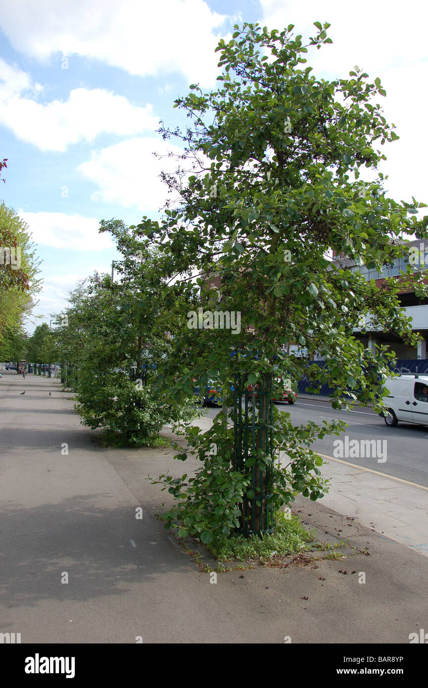 Burnt oak london hi-res stock photography and images - Alamy