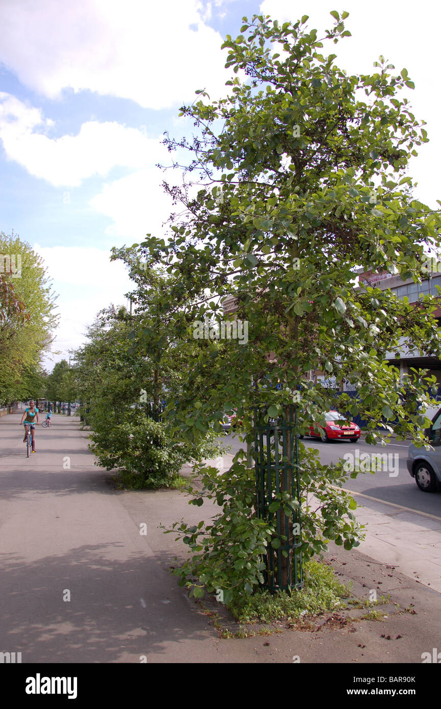 Burnt oak london hi-res stock photography and images - Alamy