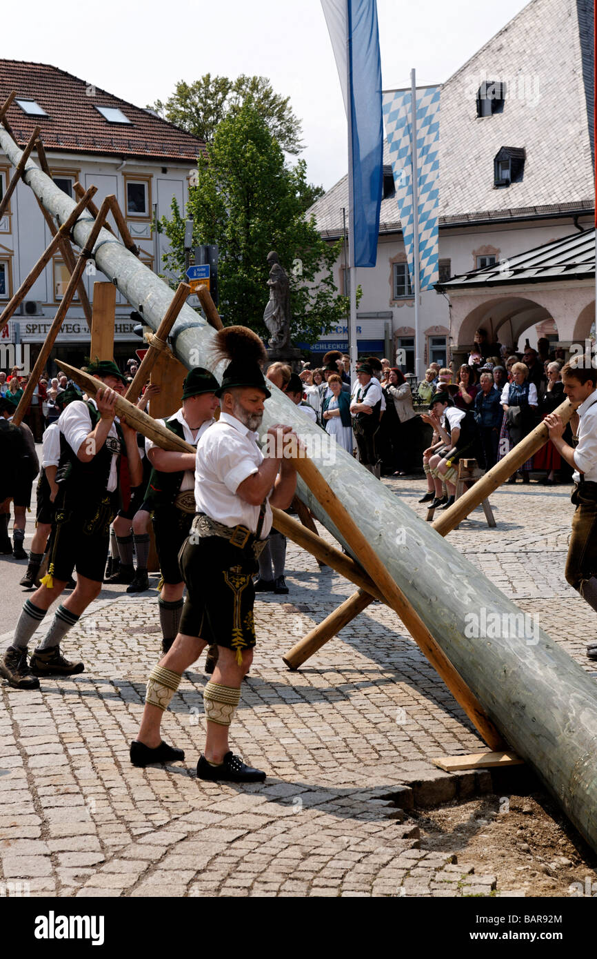Maypole being Raised in Prien Chiemgau Bavaria Germany Stock Photo - Alamy