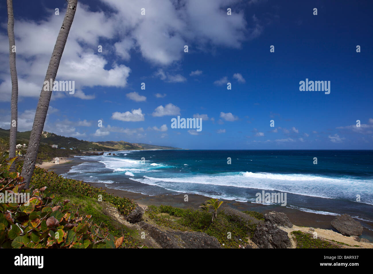 Barbados beach bathsheba pools hi-res stock photography and images - Alamy