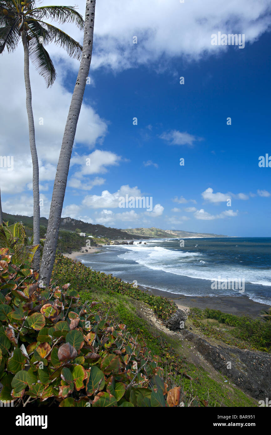 Barbados beach bathsheba pools hi-res stock photography and images - Alamy