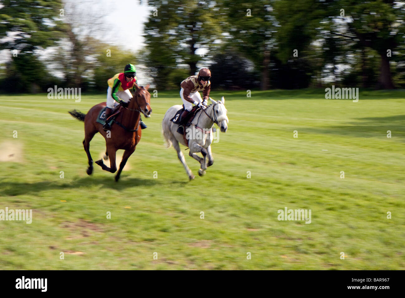 Point to point racing at Godstone Surrey horse Stock Photo - Alamy