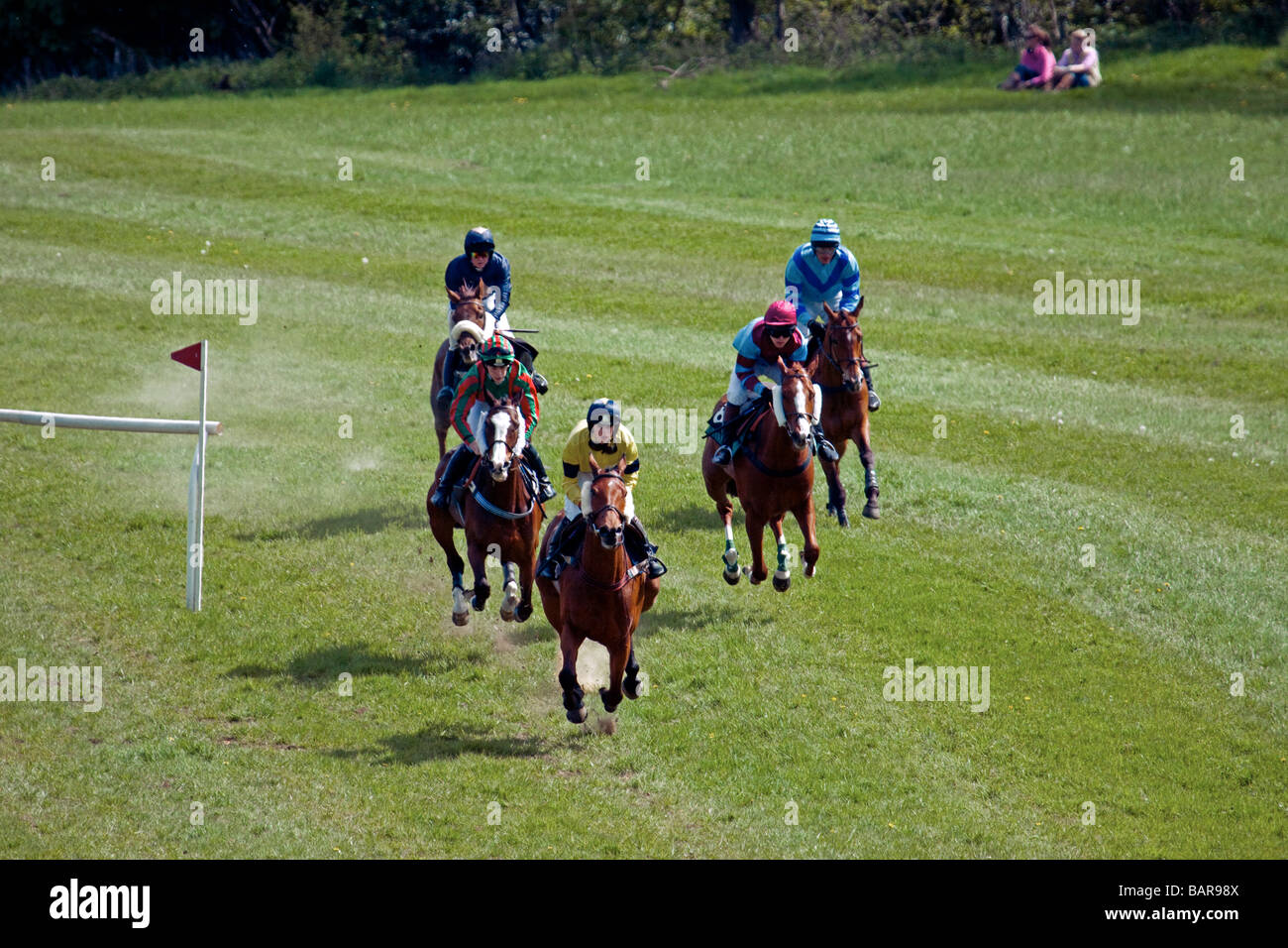 Point to point racing at Godstone Surrey horse Stock Photo - Alamy