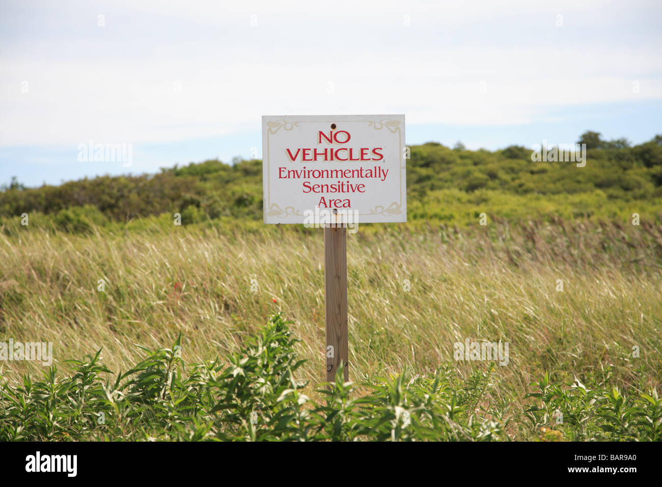 Montauk Point State Park Long Island New York Stock Photo - Alamy