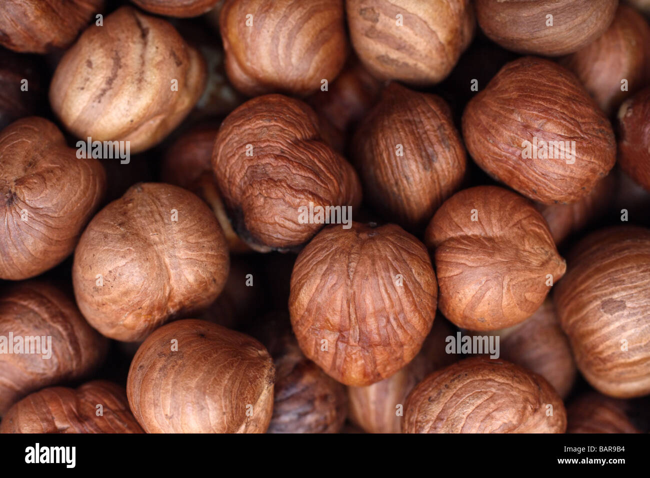 clear hazelnuts close up background Stock Photo - Alamy