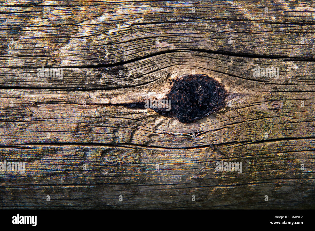 Treated field hi-res stock photography and images - Alamy