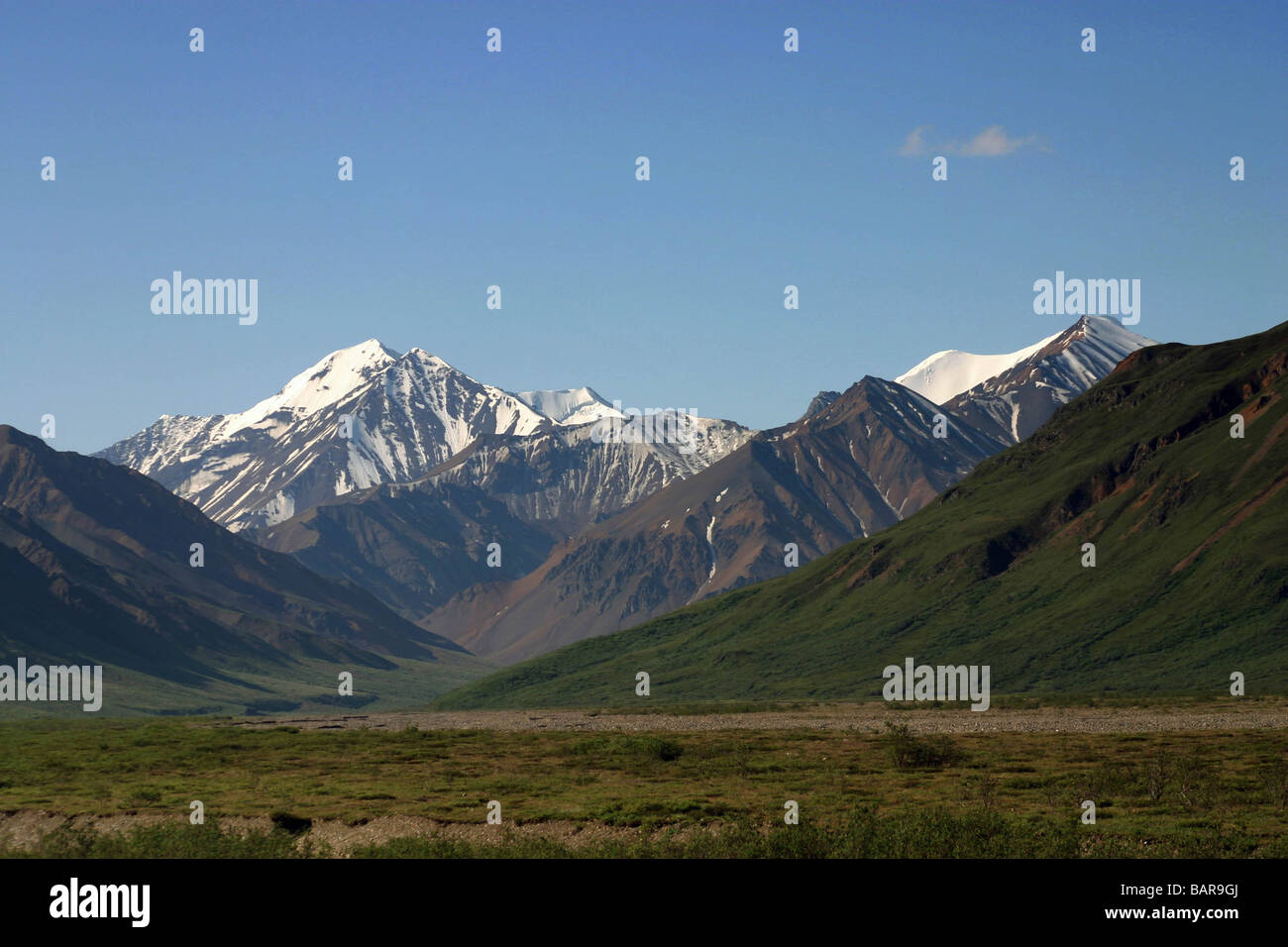 The summit of Mt.Denali in Alaska Stock Photo - Alamy