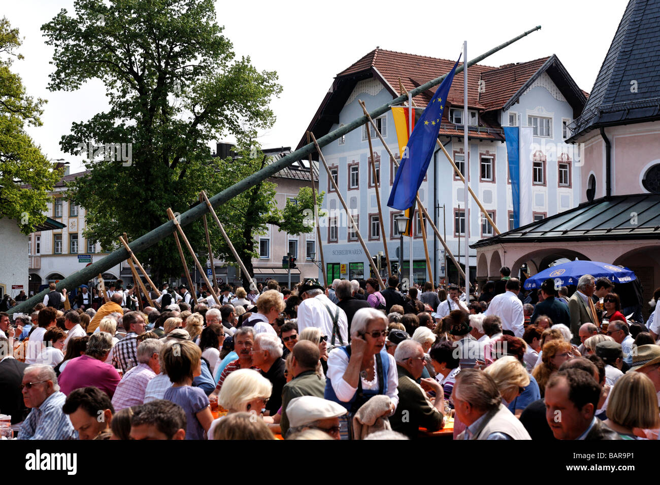 Maypole being Raised in Prien Chiemgau Bavaria Germany Stock Photo - Alamy