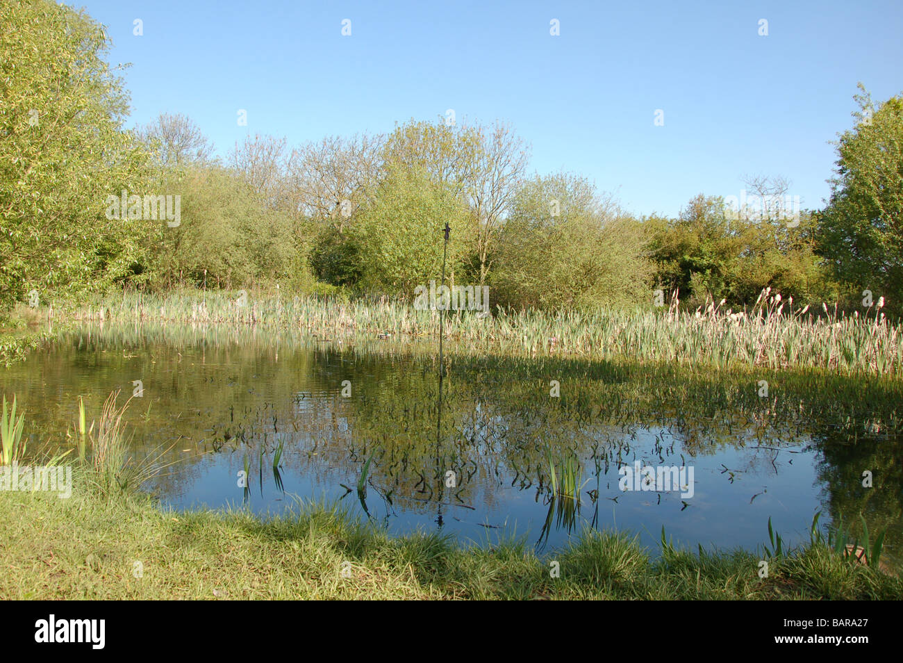 A mini lake at Fryent Country Park, Fryent Way, Kingsbury, London ...