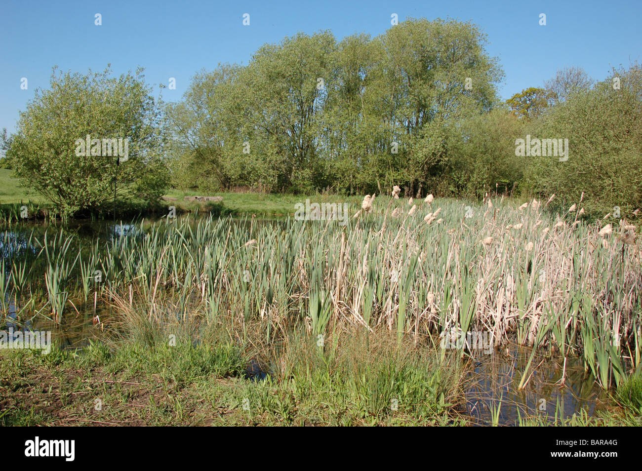 Fryent way hi-res stock photography and images - Alamy