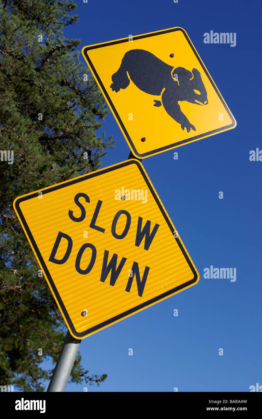 Wildlife road hazard sign hi-res stock photography and images - Alamy