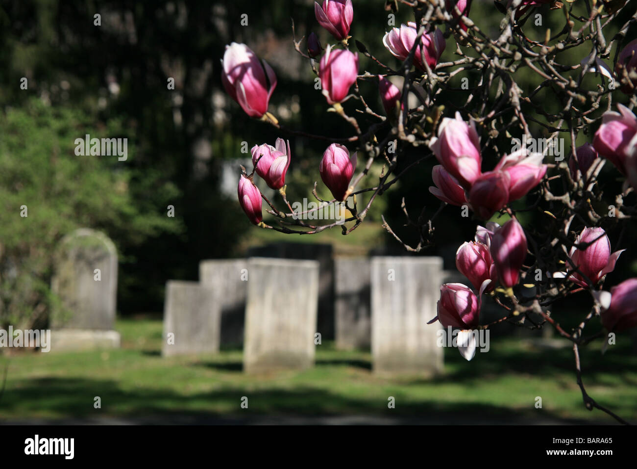 Old york cemetery hi-res stock photography and images - Alamy
