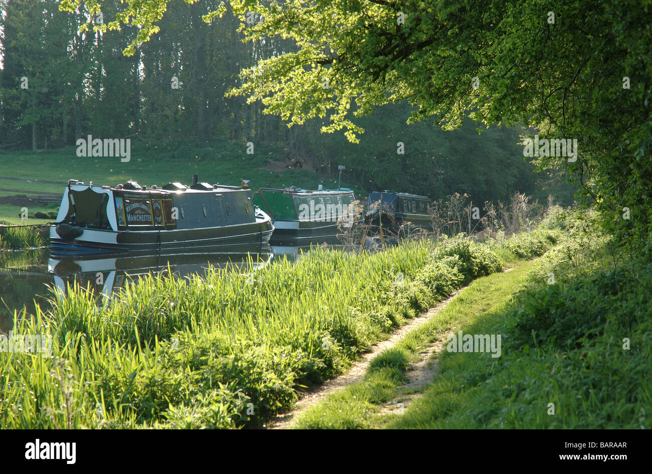 the Ashby Canal at Shackerstone, Leicestershire, England, UK Stock ...