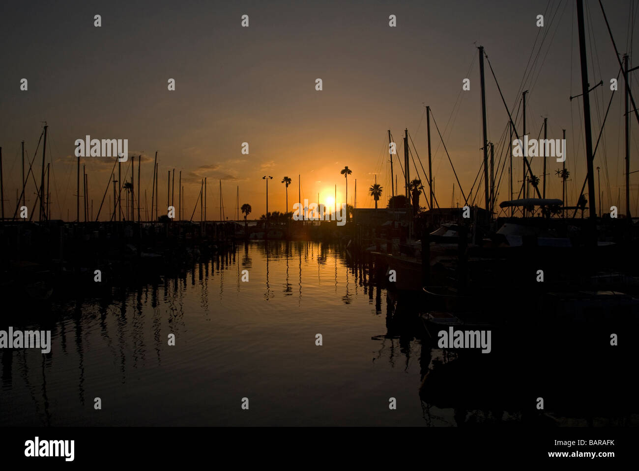 Dunedin west hi-res stock photography and images - Alamy