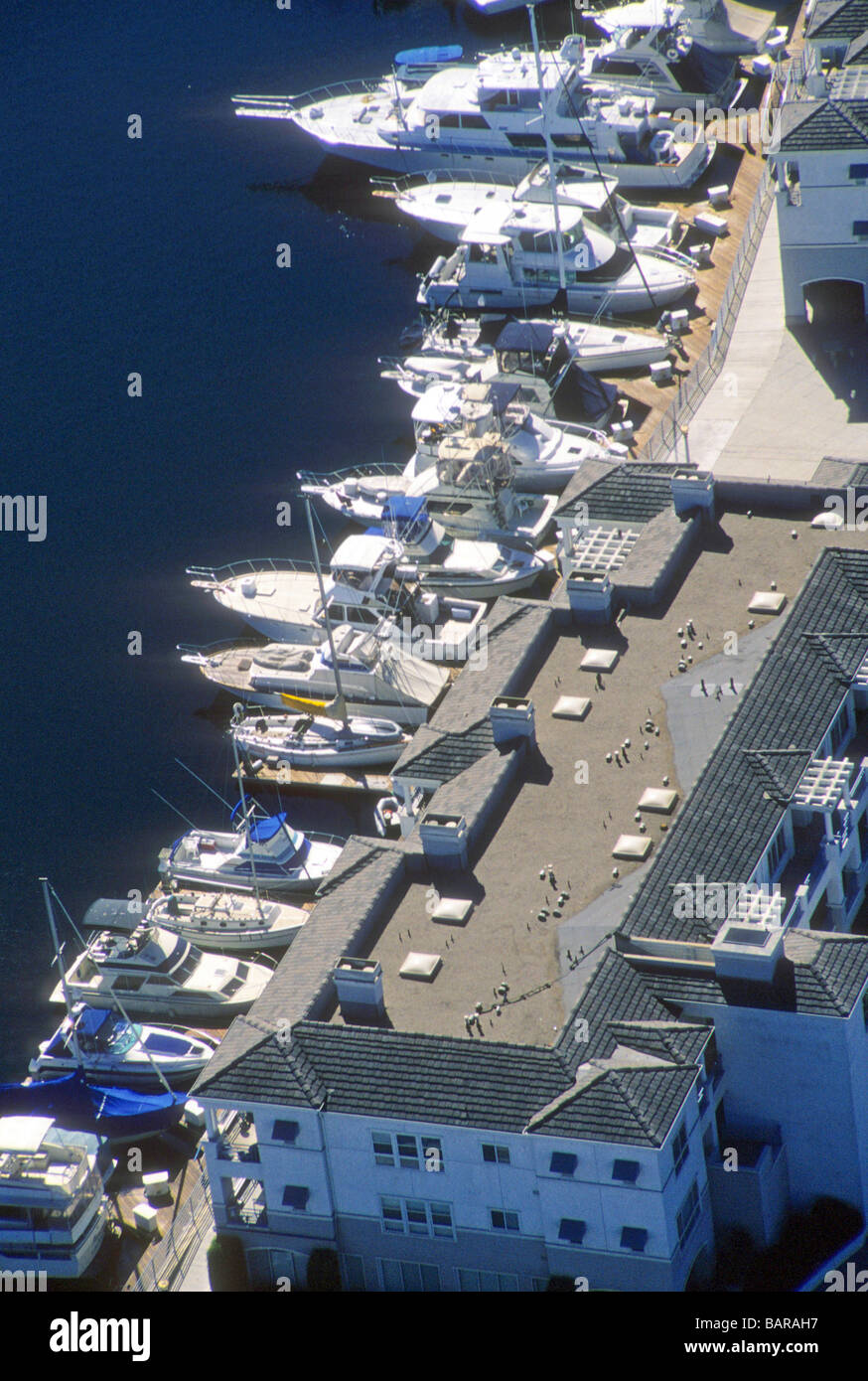 Harbor Newport California sea ocean dock marina boat sail motor ...