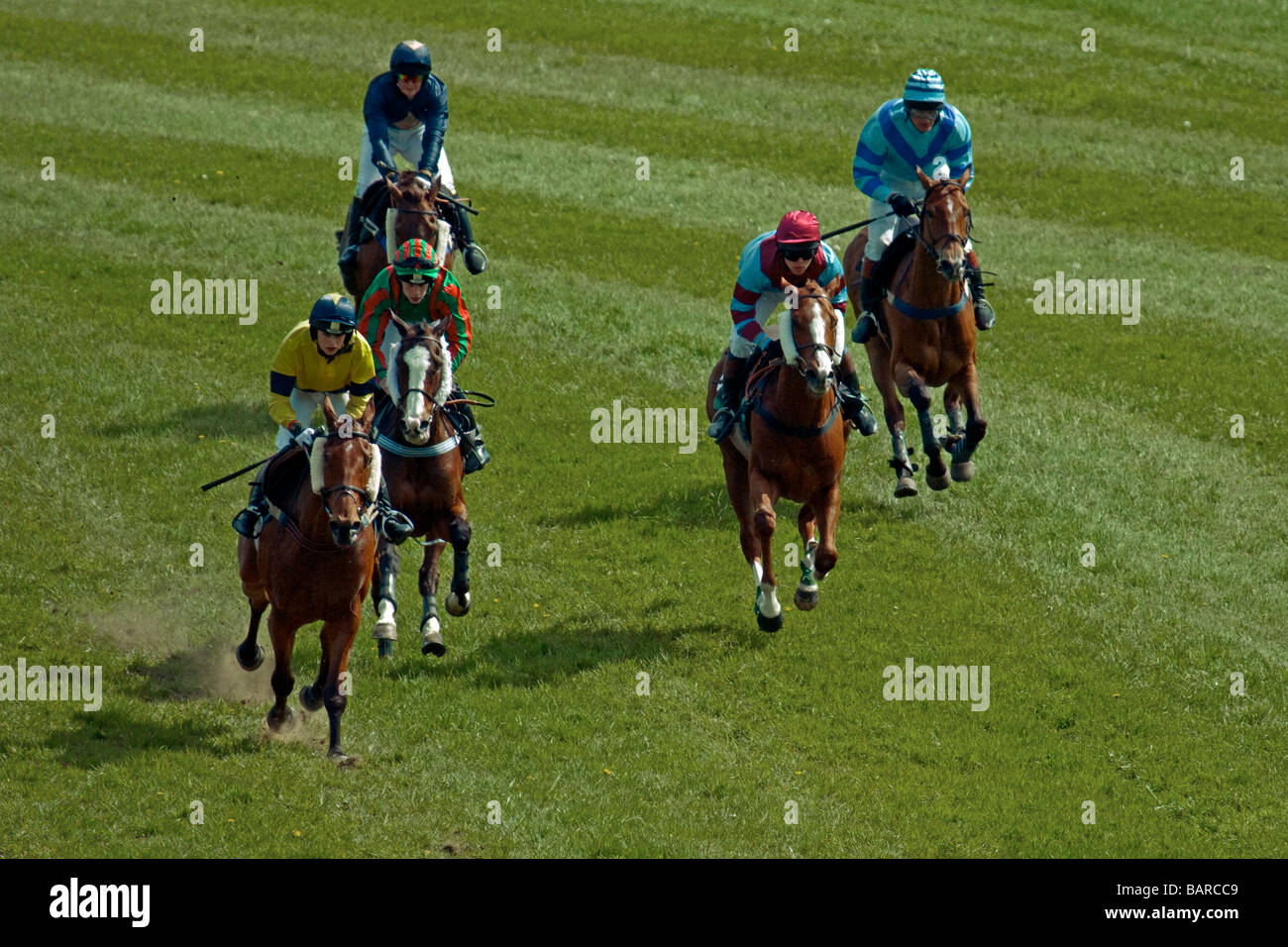 Point to point racing at Godstone Surrey Stock Photo - Alamy