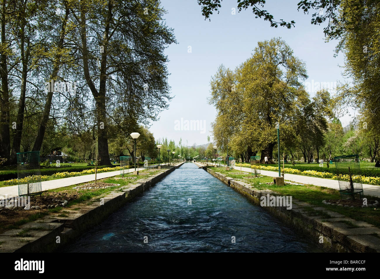 River passing through a garden, Jhelum River, Jammu and Kashmir, India ...