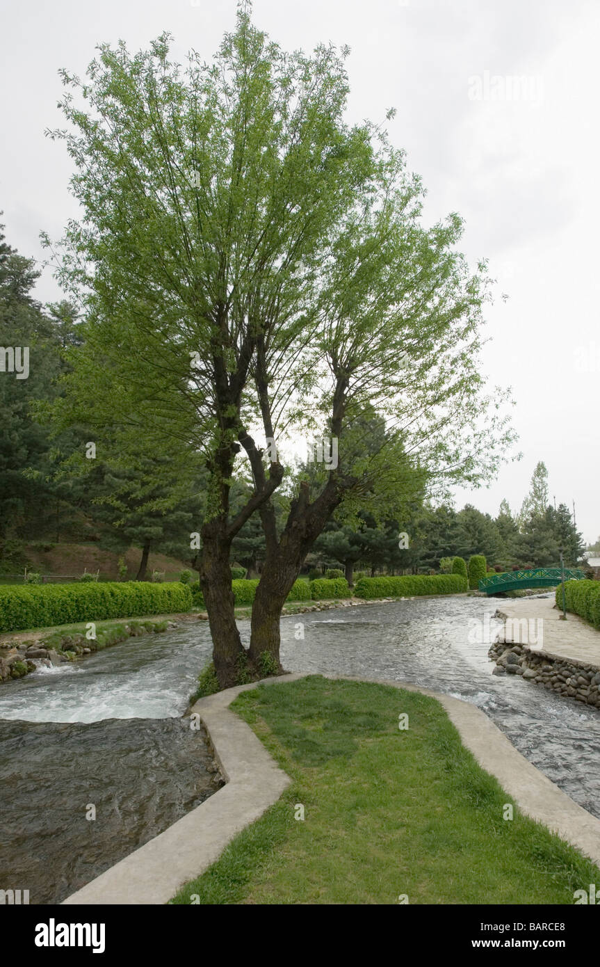 Water flowing in a garden, Kokernag, Jammu and Kashmir, India Stock ...