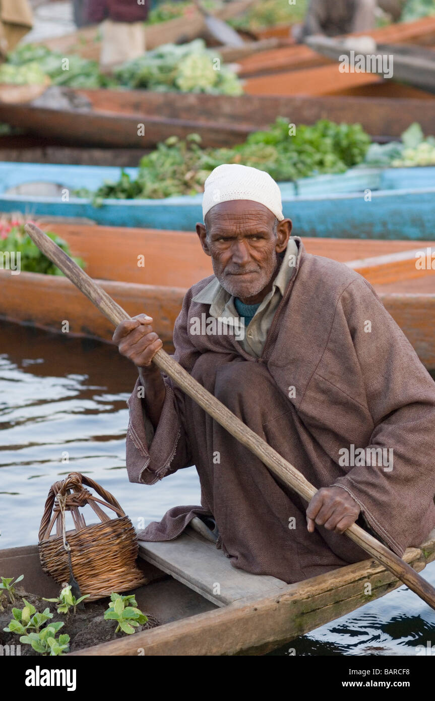 Man selling plants in a boat, Dal Lake, Srinagar, Jammu And Kashmir ...