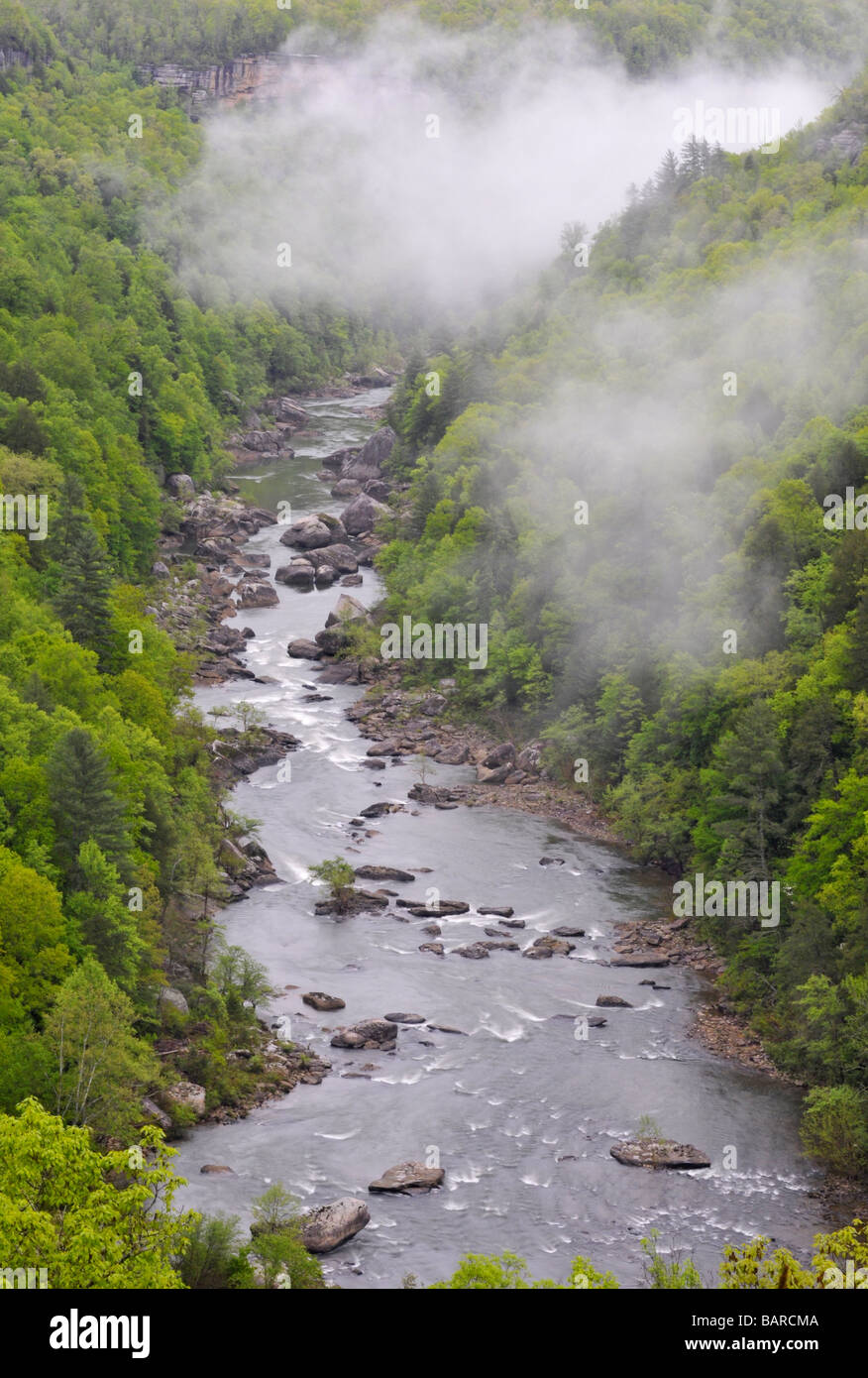 Honey creek area hi-res stock photography and images - Alamy