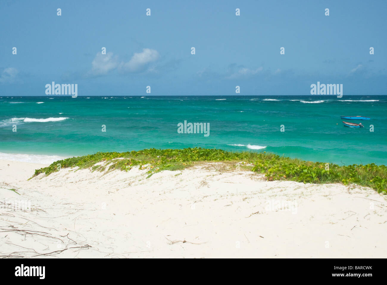 Barbados Bottom Bay sandy beach dunes Stock Photo - Alamy