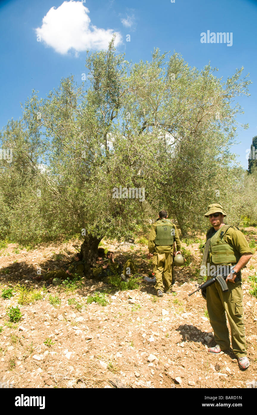 Israel West Bank Israeli reserve soldiers on foot patrol during active ...