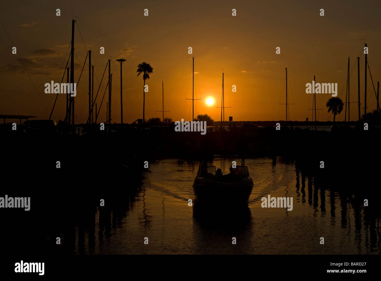North dunedin north dunedin hi-res stock photography and images - Alamy