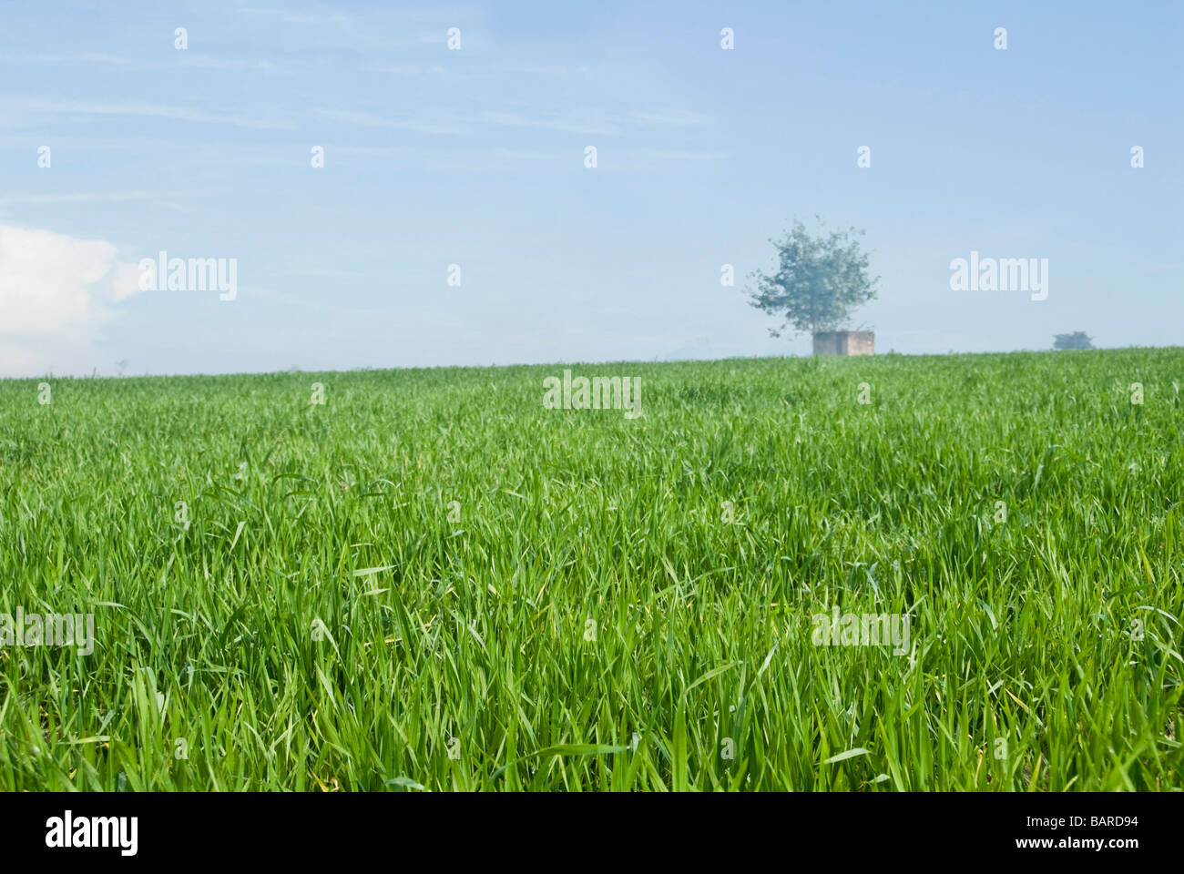 Sohna haryana hi-res stock photography and images - Alamy
