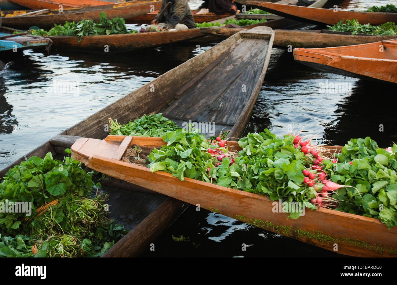 Vegetables in a boat, Dal Lake, Srinagar, Jammu And Kashmir, India ...