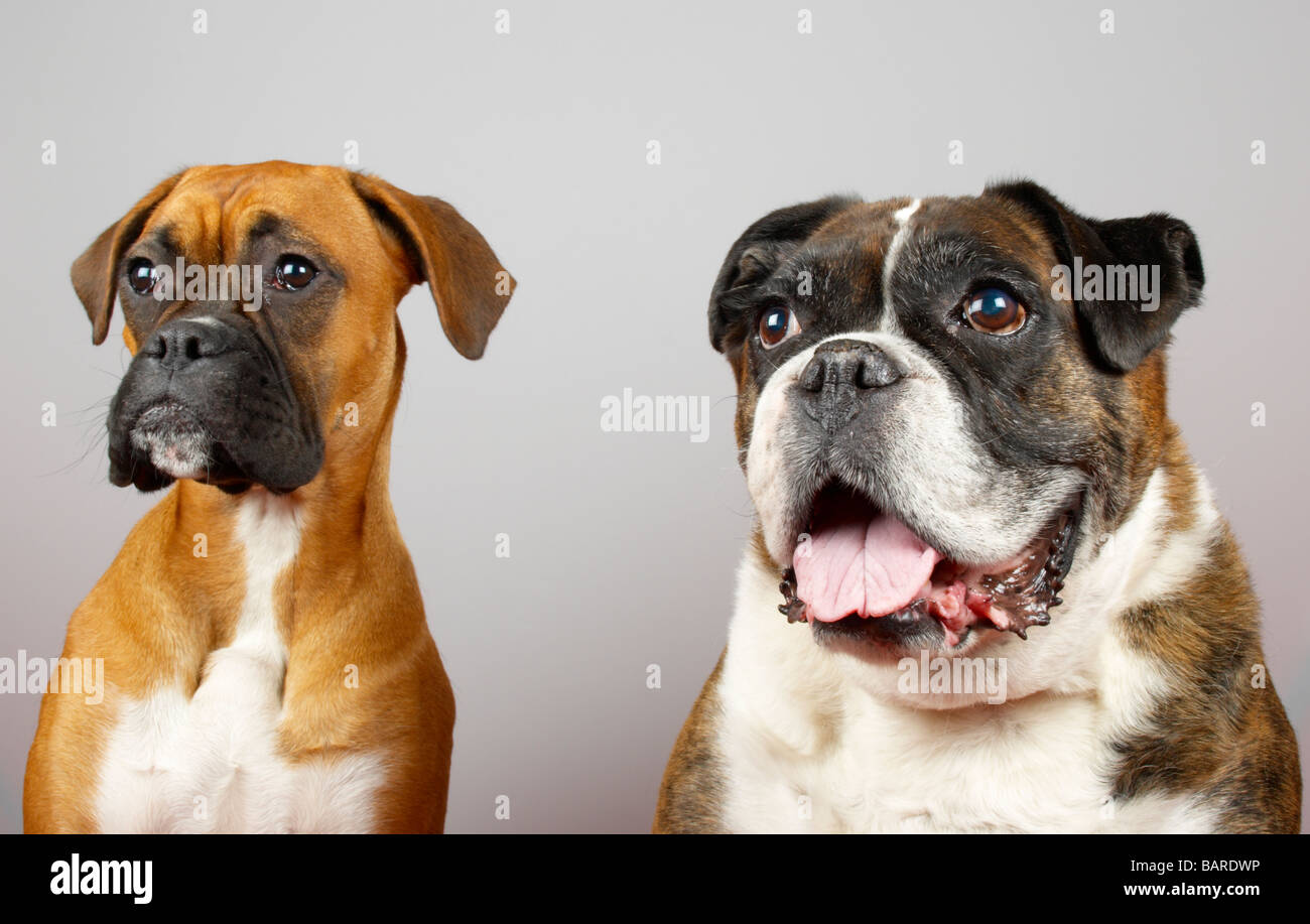 Graduated tan background hi-res stock photography and images - Alamy