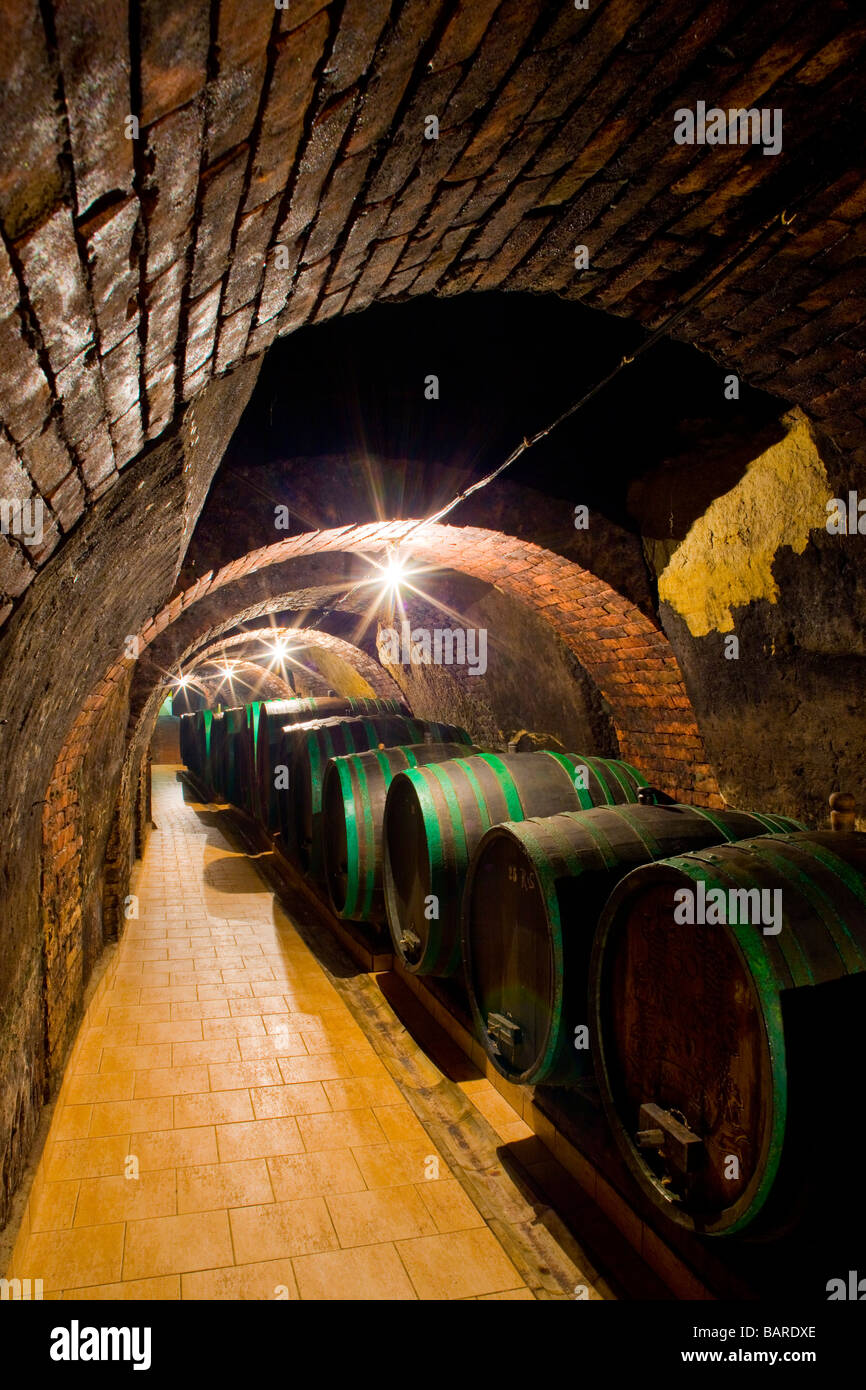 wine cellar Jan Vanek Winery Chvalovice Czech Republic Stock Photo - Alamy