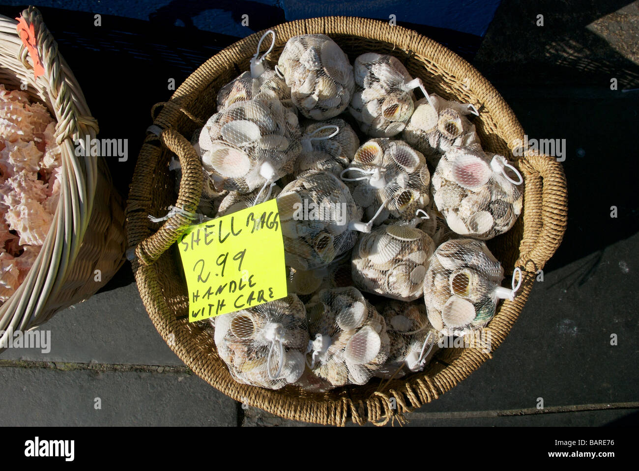 Shell group hi-res stock photography and images - Alamy