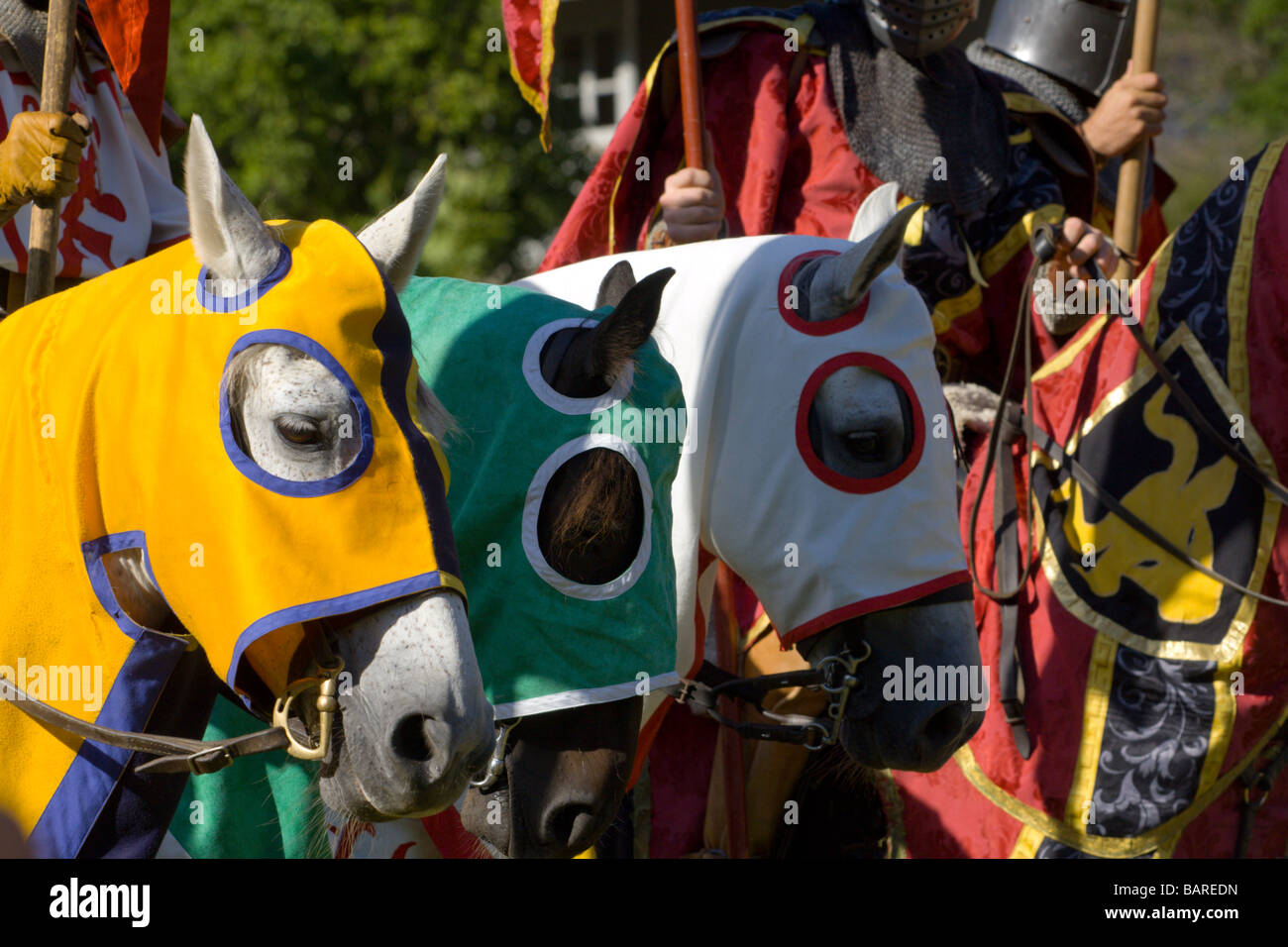 Horses in their knights colours at a French Mediaeval fayre Stock Photo ...