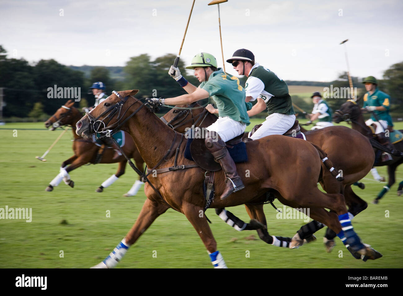 Full gallop hi-res stock photography and images - Alamy