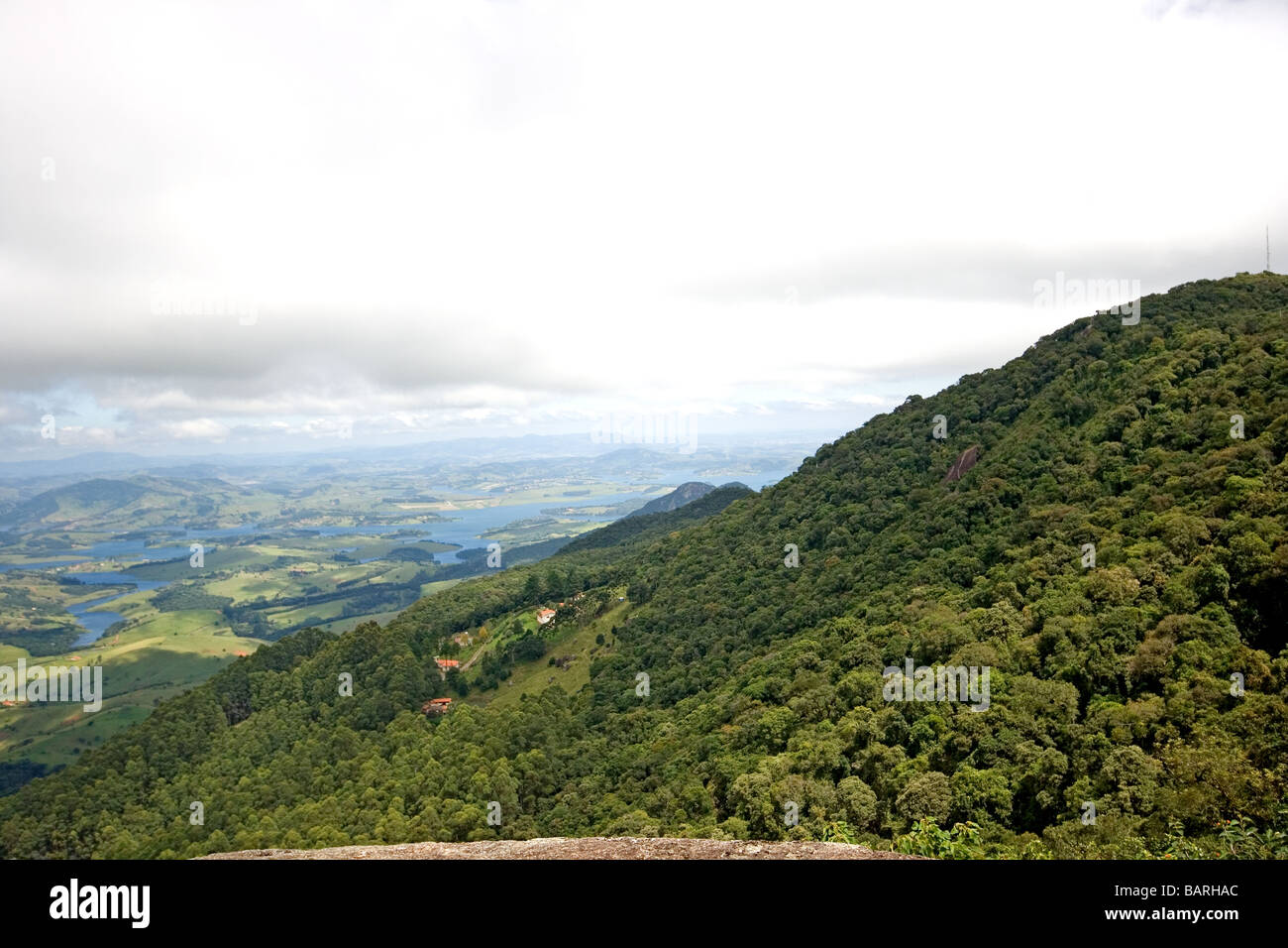 Atlantic forest landscape Stock Photo - Alamy